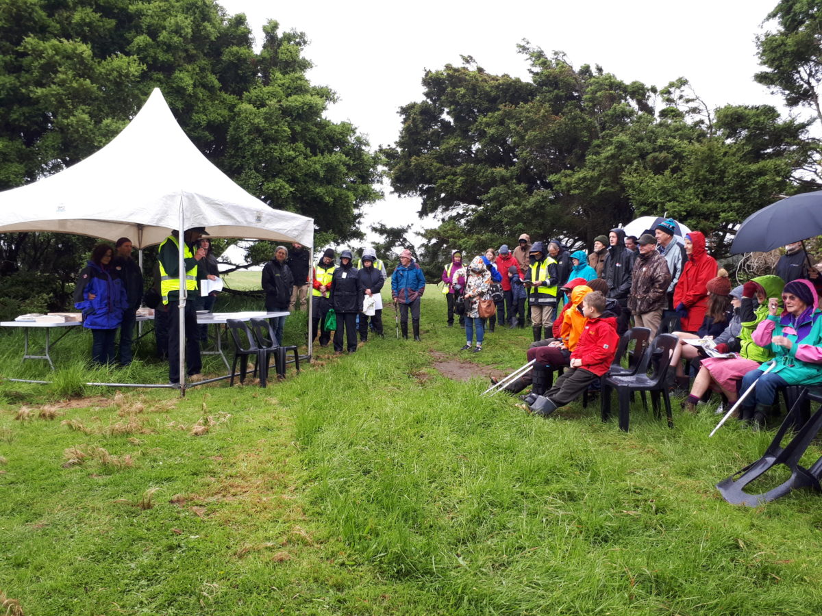 Native forest restoration draws a crowd - NATIVE FOREST RESTORATION TRUST