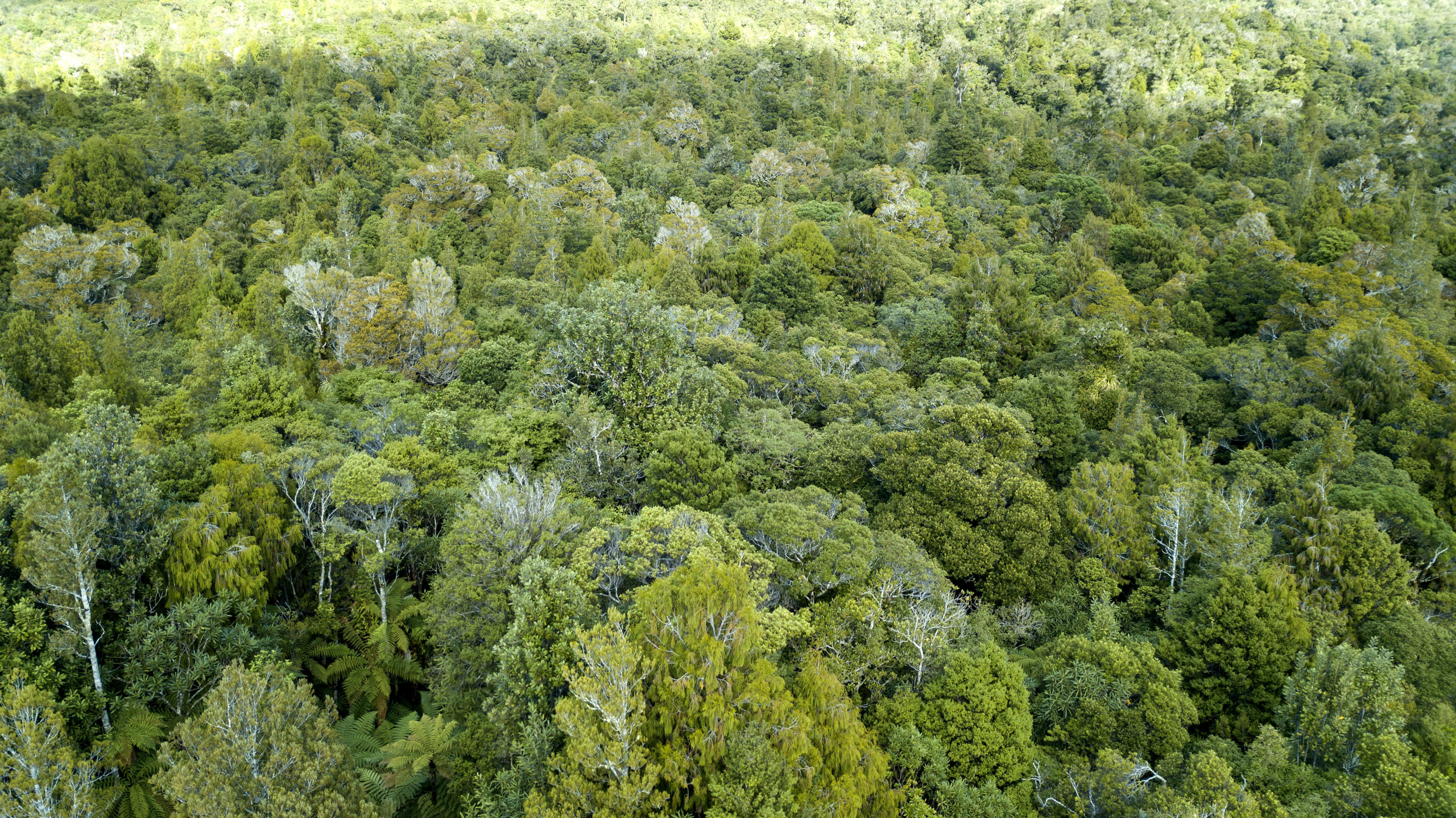 Vacancy - Part Time Administrator (based in Northland, Auckland or the ...