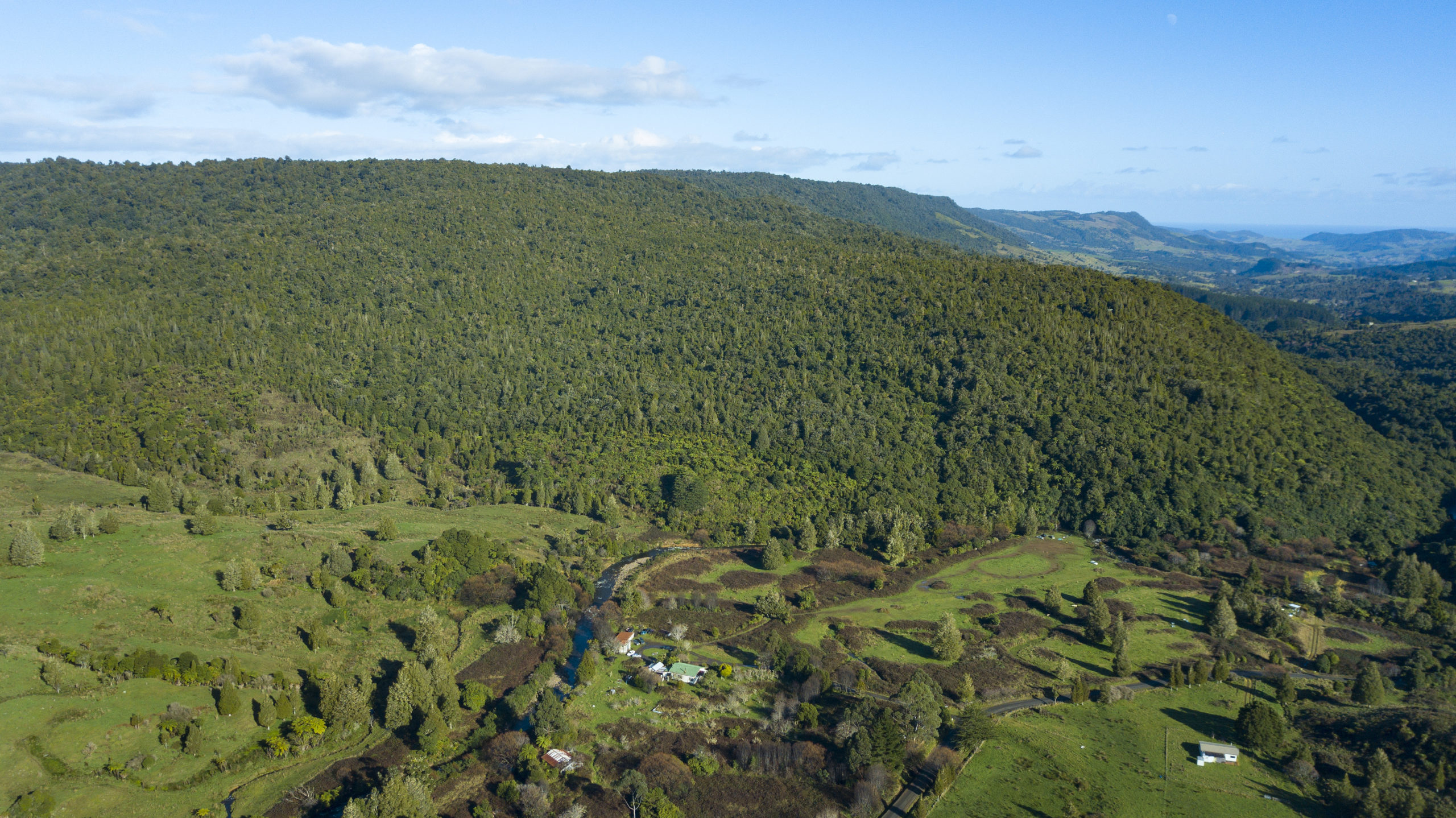 Vacancy - Reserves Manager (Western & Central Northland) - NATIVE ...